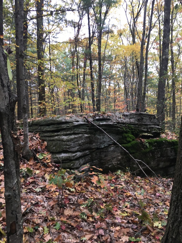 Wendell State Forest Loop Mountain Biking Route | Trailforks