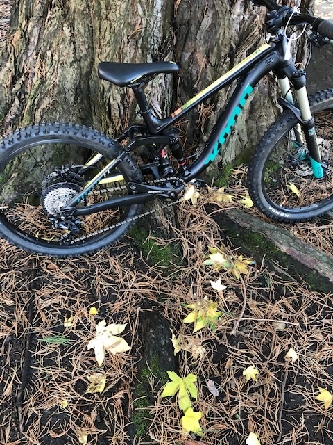 2019 Kona Process 24 For Sale