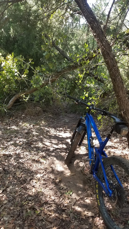 Octopus Multi Trail - Lake Bryan, Bryan, Texas