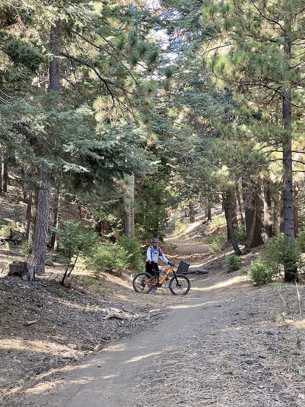 Lake Arrowhead, California Mountain Biking Trails | Trailforks