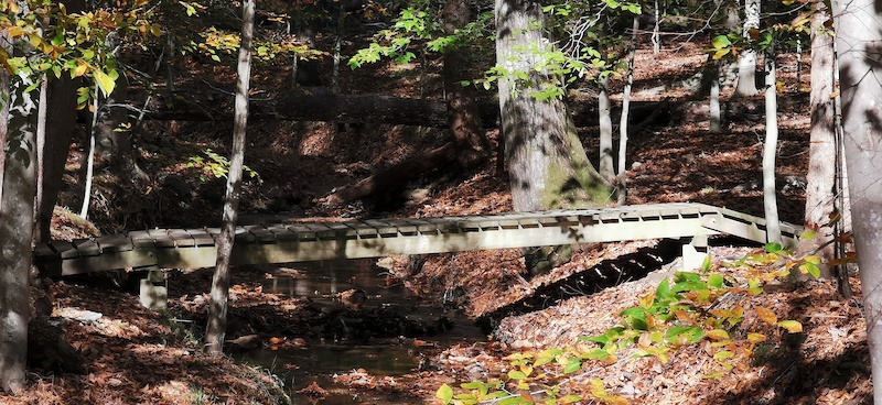 Black Loop Mountain Biking Trail - Fairfax Station