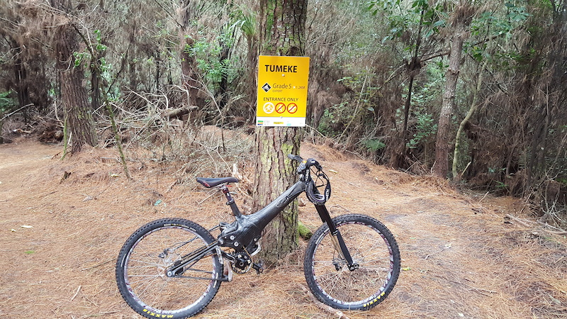 Lahar Dh m9 For Sale