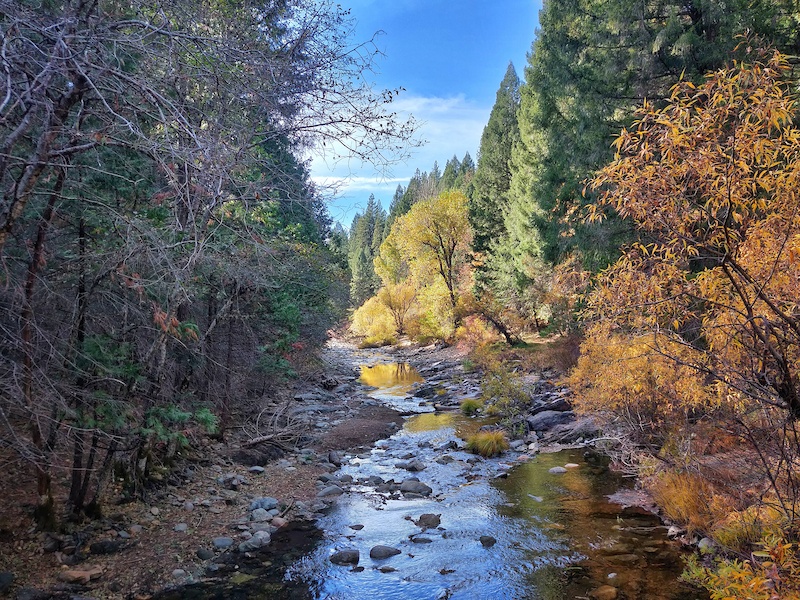 South Shore Mountain Biking Trail - Pollock Pines, CA