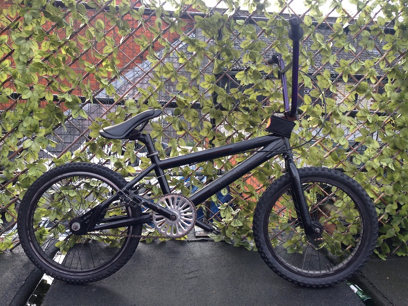 2000 1999 Robinson Ruckus bmx For Sale