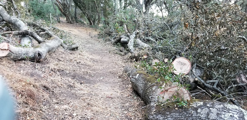 Mount Diablo State Park, Danville Mountain Biking Trails | Trailforks