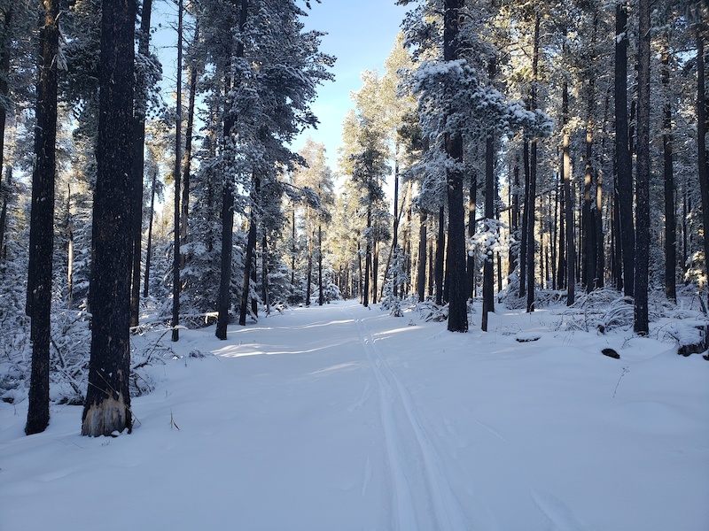 Spring Creek Loop Multi Trail - Elkwater, Alberta