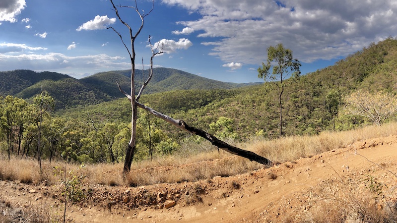 K-9 Mountain Biking Trail - Rockhampton | Trailforks