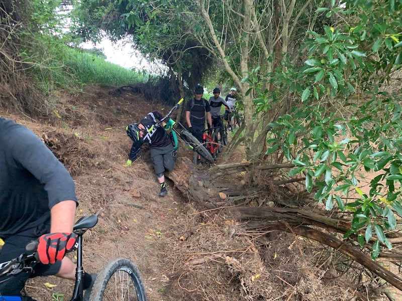 Totara Valley Mountain Biking Trail - Christchurch