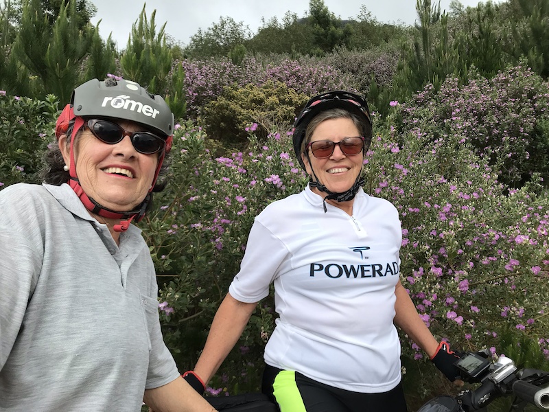 Lower Tokai Loop Multi Trail - Tokai | Trailforks