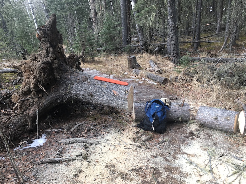 Jumpingpound Loop South Multi Trail - Bragg Creek, AB