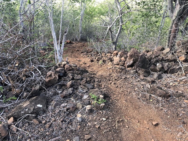 Seru Baku > Sami Liber Mountain Biking Trail