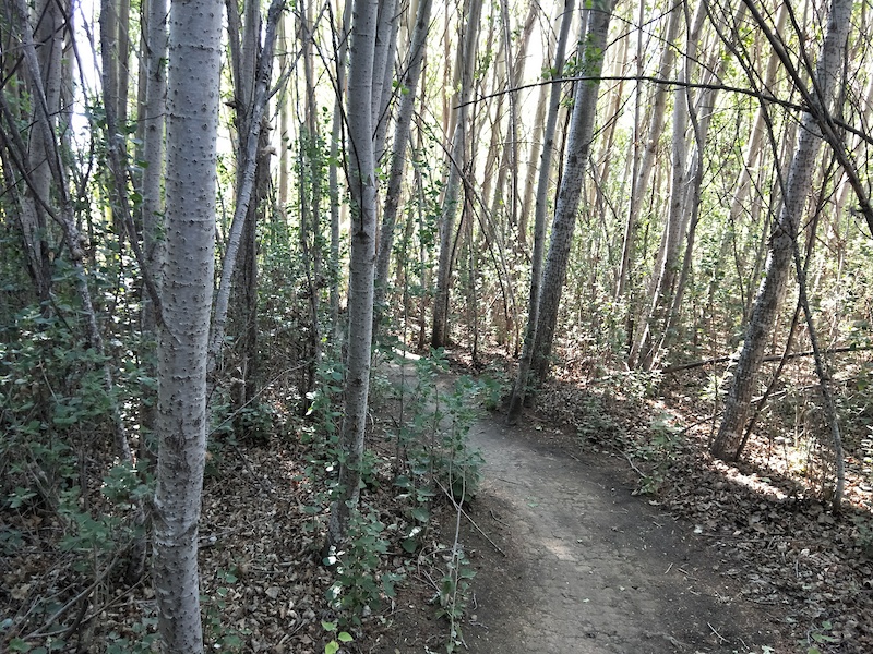 WEMBO 2023 Race Route Mountain Biking Route | Trailforks