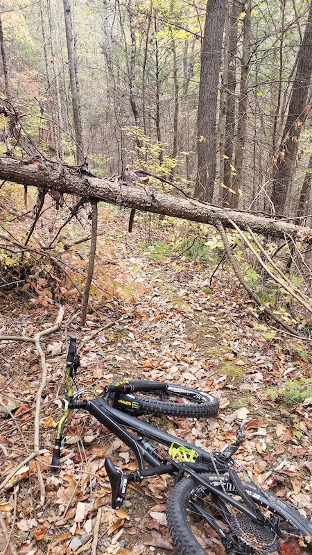 Chestnut Mtn Loop Mountain Biking Trail - Ducktown