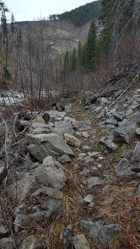 Lower Secesh River Multi Trail - McCall, Idaho