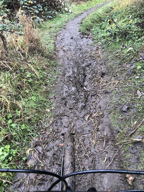 Tigard Library Trail Mountain Biking Trail - Beaverton, OR