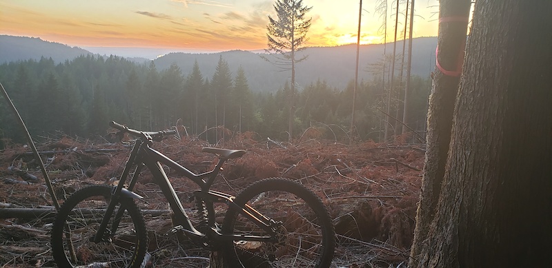 2018 Trek Session 8 For Sale