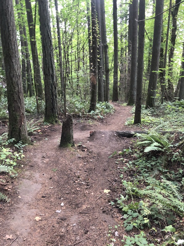 Dreamcatcher Mountain Biking Trail - Tigard, OR