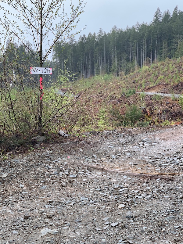 Access Trail 1 Mountain Biking Trail - Port Alberni