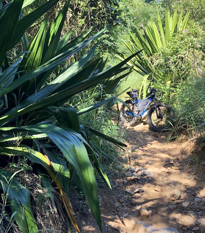 Quebrada Seca Trail Multi Trail - Cabo Rojo | Trailforks