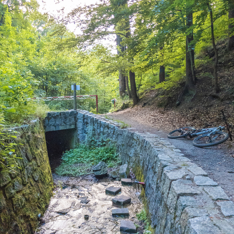 Walim, Poland Mountain Biking Trails | Trailforks