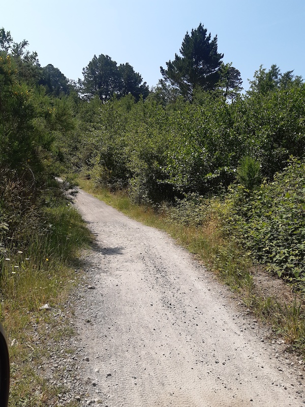 Nov 29, 2019 Sandstone Road Trail Report | Trailforks