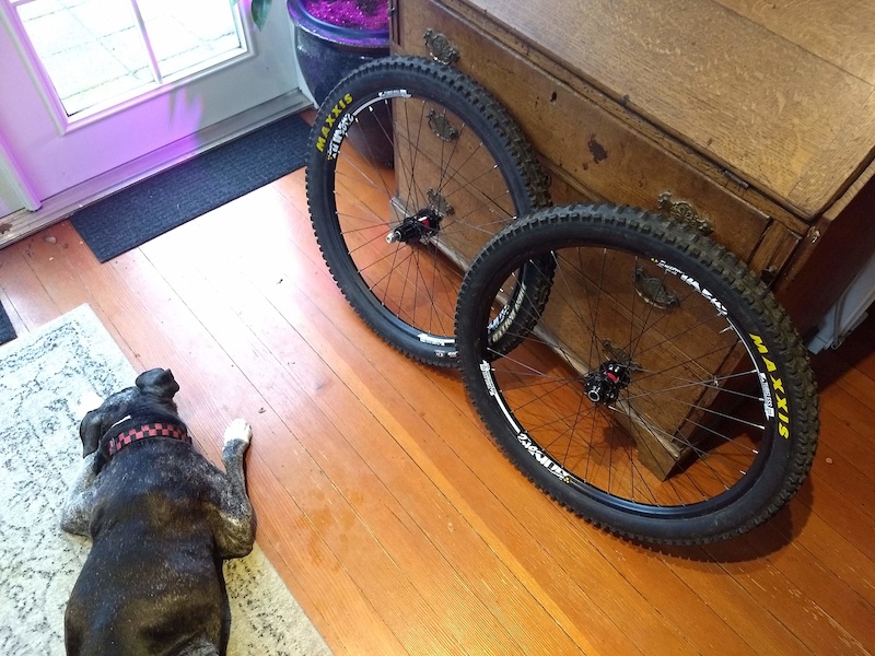 DT Swiss 240s / Nukeproof Generator / High Roller II For Sale