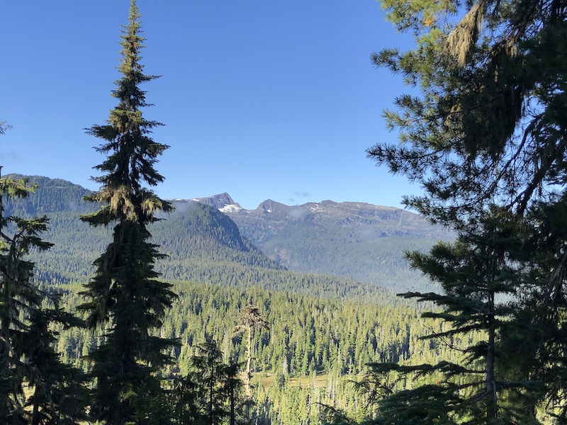 Great Big View Mountain Biking Trail - Courtenay, BC