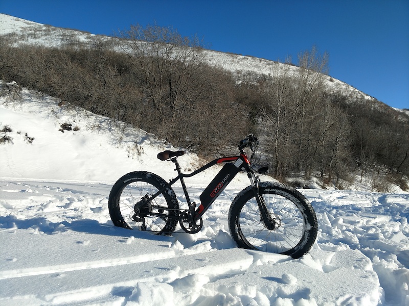2018 EcoMotion Core Pro One Size For Sale