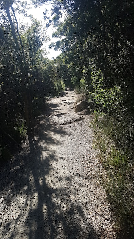 Best Of Mount Adelaide & Clarence Mountain Biking Route | Trailforks