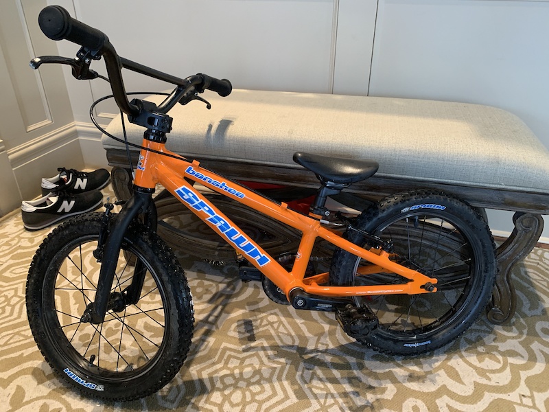 2016 Spawn Banshee For Sale