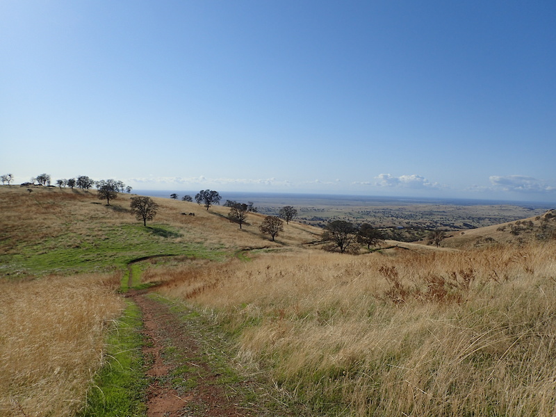 Cramp Up Mountain Biking Trail - Merced, California