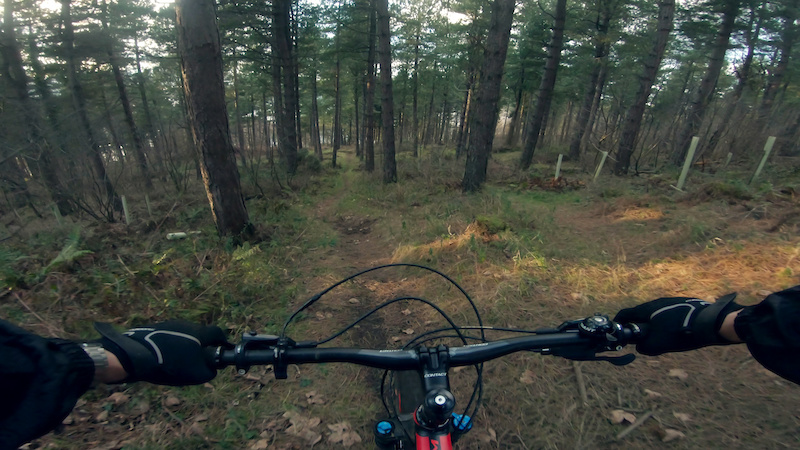 Justice Mountain Biking Trail - Braefoot, Dalgety Bay