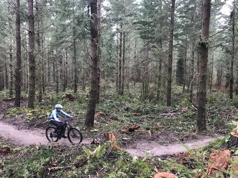Galbraith Intro Mountain Biking Route | Trailforks