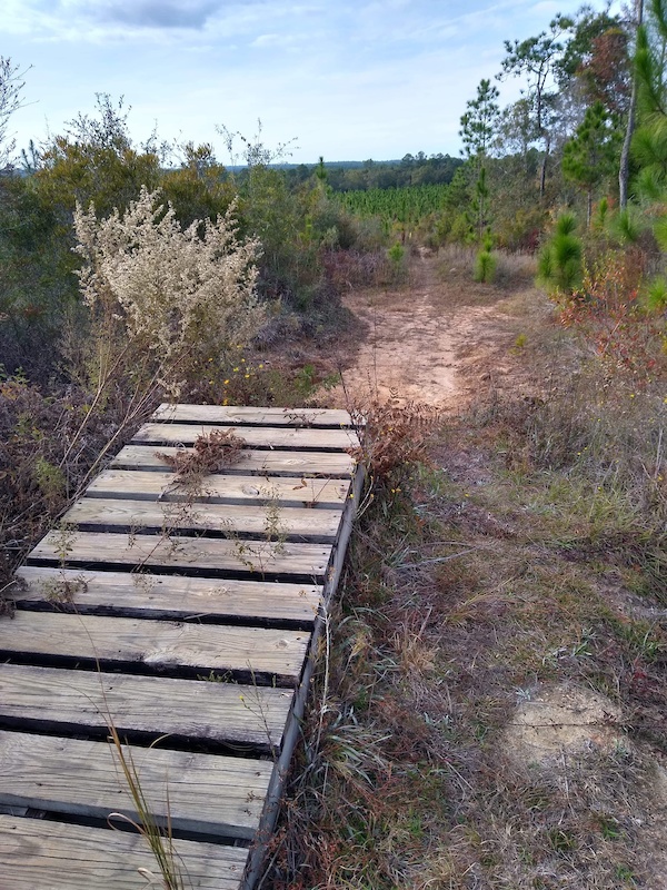 Muscogee MTB Trails, Pensacola Mountain Biking Trails | Trailforks