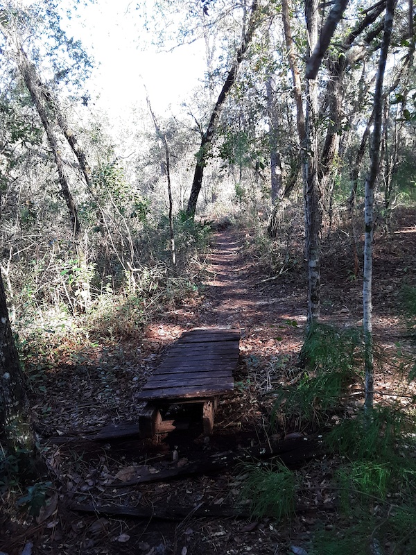 Timberlake Mountain Biking Trails | Trailforks