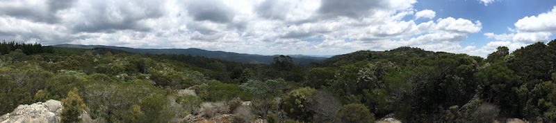 Blue Tier Forest Reserve Mountain Biking Trails | Trailforks