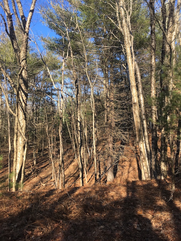 SNETT End-To-End (Southern New England Trunkline Trail) | Trailforks