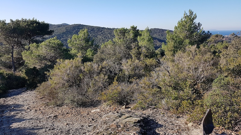 Sentiero del Diavolo Mountain Biking Trail - Livorno