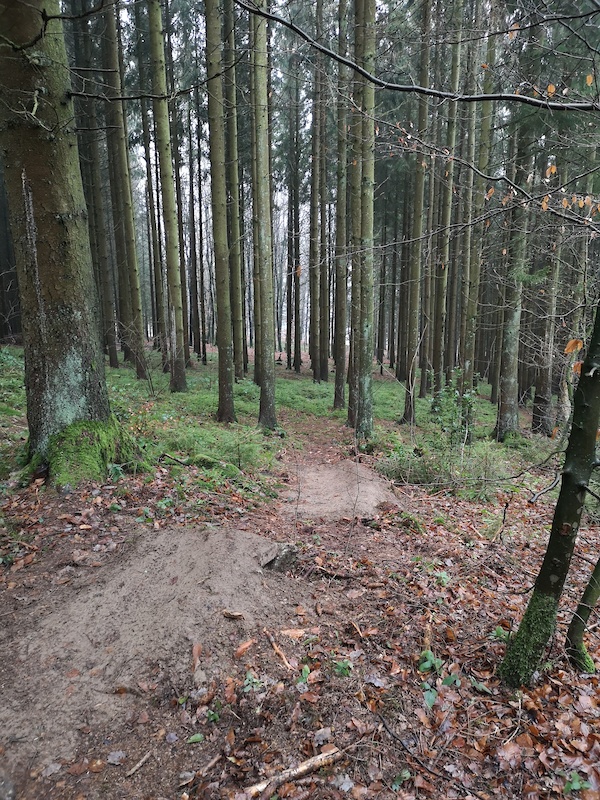Morsbach, Germany Mountain Biking Trails | Trailforks