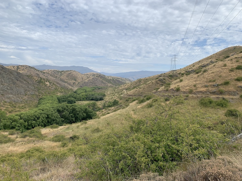 Pylon Track Mountain Biking Trail - | Trailforks