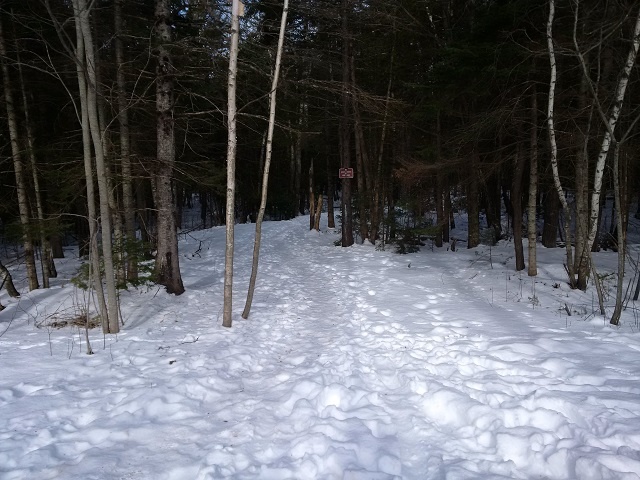 Poplar Trail Mountain Biking Trail - Oromocto, NB