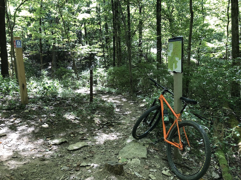 Mitchell Memorial Forest Mountain Biking Trails | Trailforks