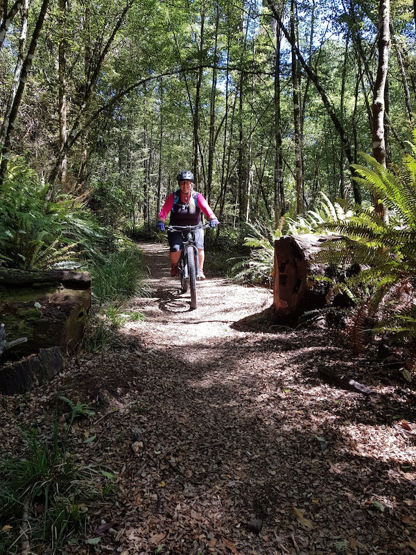 Kaimanawa Forest Park Mountain Biking Trails | Trailforks