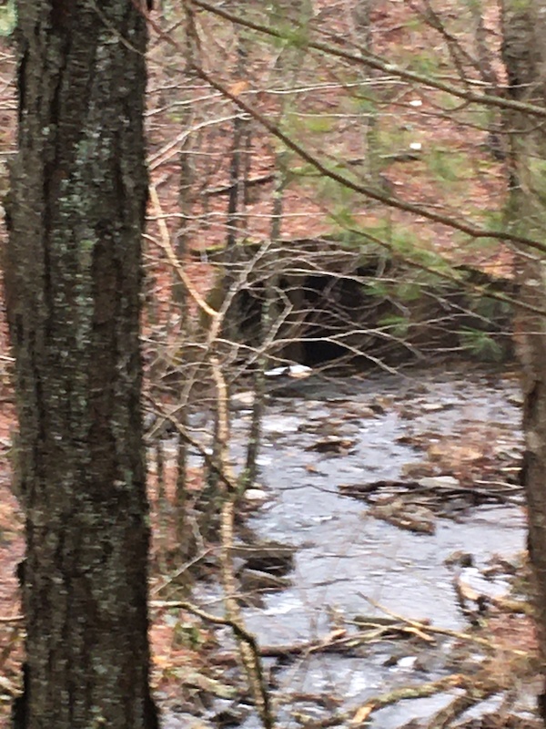 Meshomasic State Forest - Diamond Lake Block, Glastonbury Mountain ...