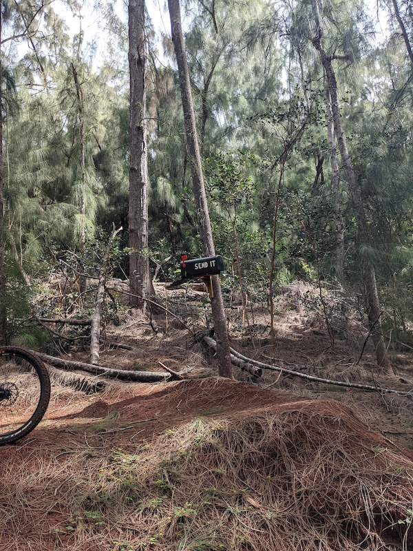 Urban Legend Mountain Biking Trail - Pupukea, Hawaii
