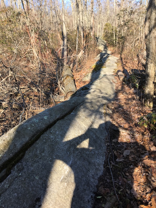 Wildcat Ridge Trail Multi Trail - Rockaway Township