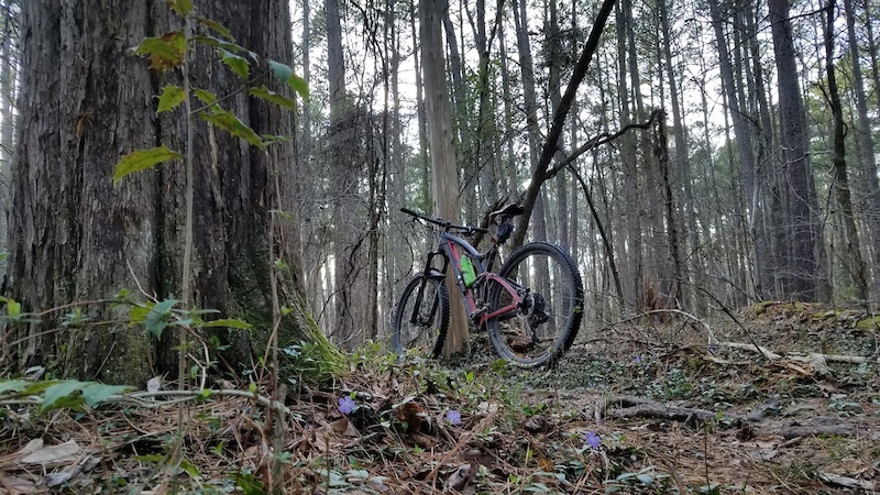 Greene Tract Forest Mountain Biking Trails | Trailforks
