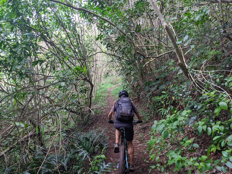 MWR Trail Multi Trail - Kailua, Hawaii | Trailforks