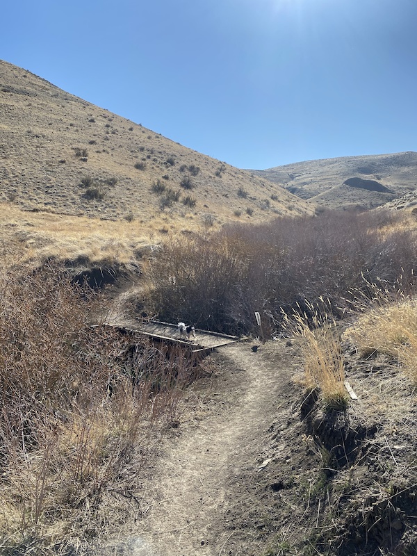 North Ballardini Ranch Trail Mountain Biking Trail - Reno