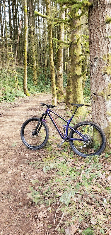 Temple Pond Loop Multi Trail - Snohomish, Washington